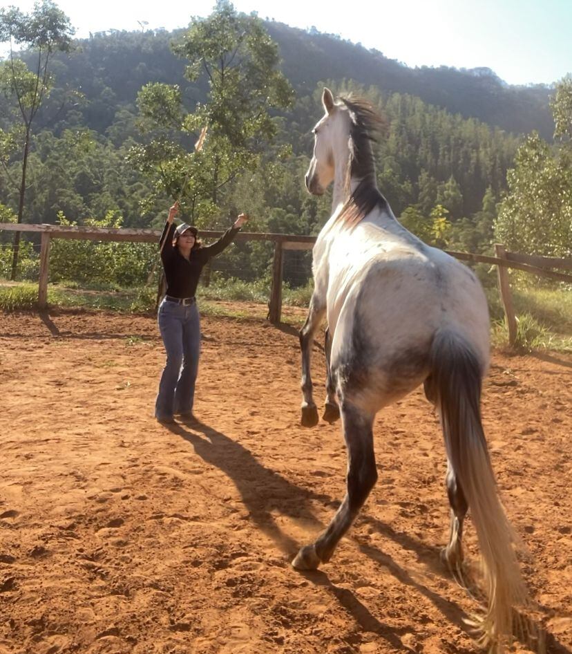 A paixão que domou o bravo Barão: a história de Laryssa Marques – Noticias R7