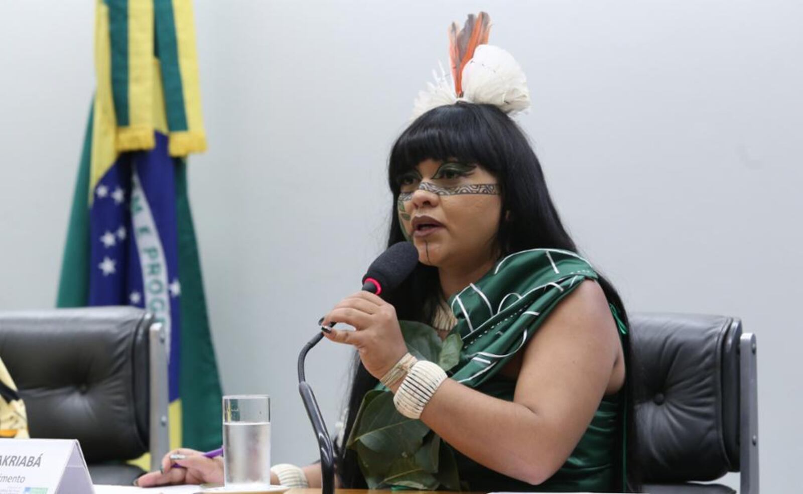 Deputada diz que polícia a atingiu com spray de pimenta durante marcha ...