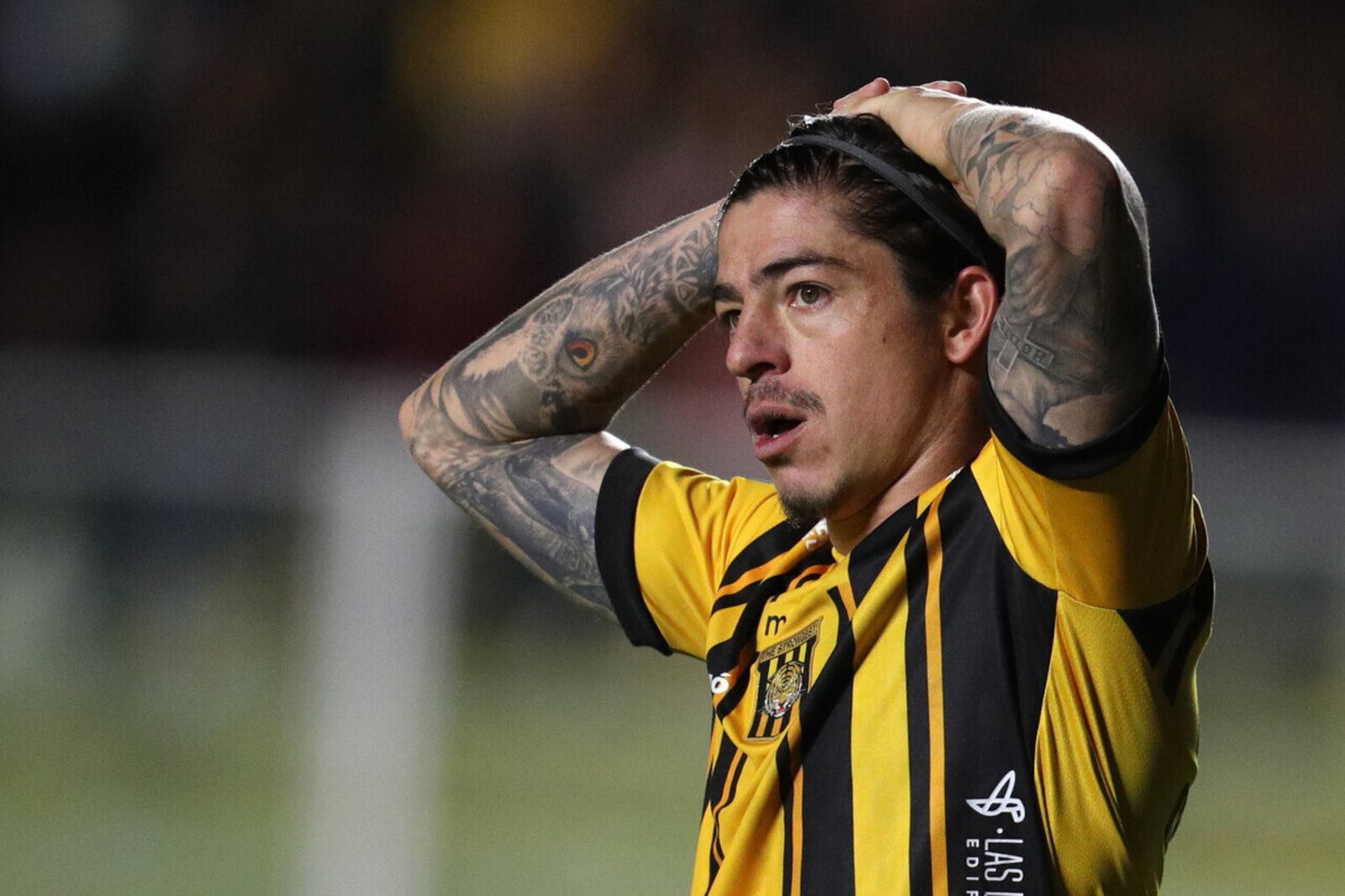 เลสเบี้ยนเอเชียไม่ได้ตรวจสอบแล้ว