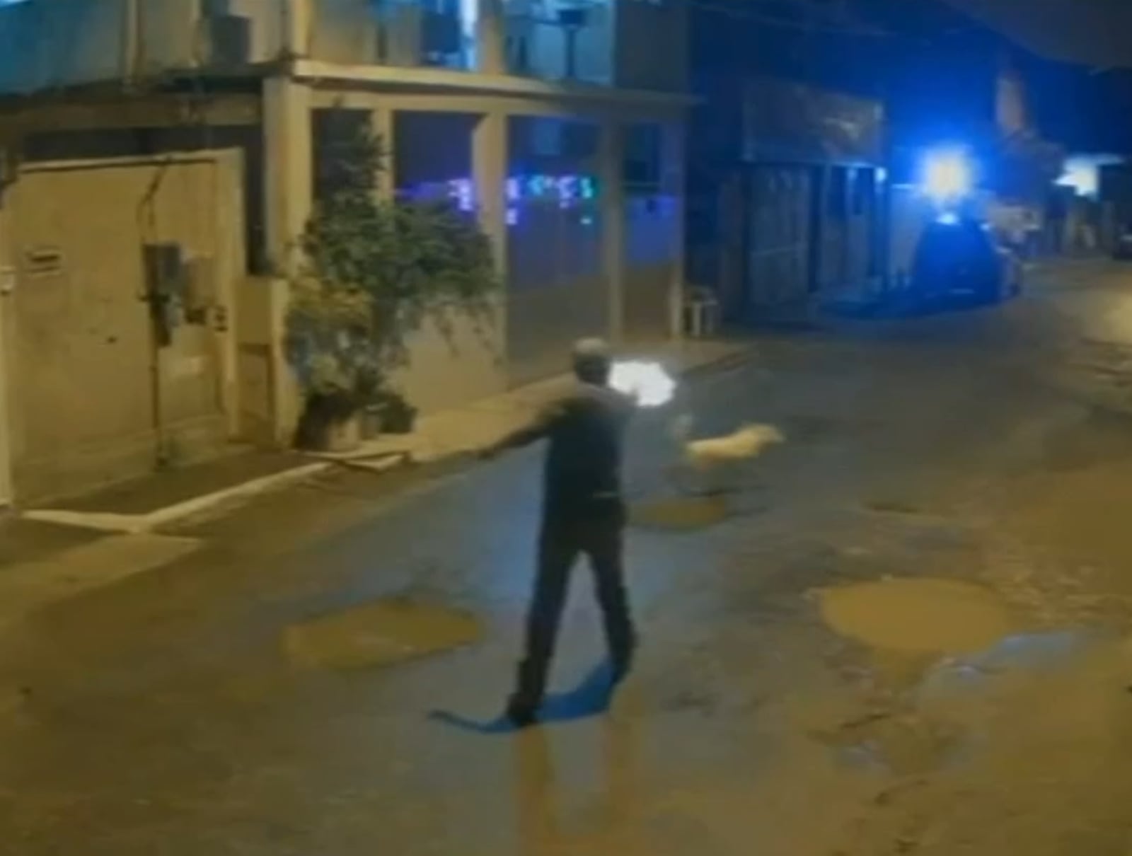 Polícia prende homem que matou cachorro a tiros no RJ – Noticias R7