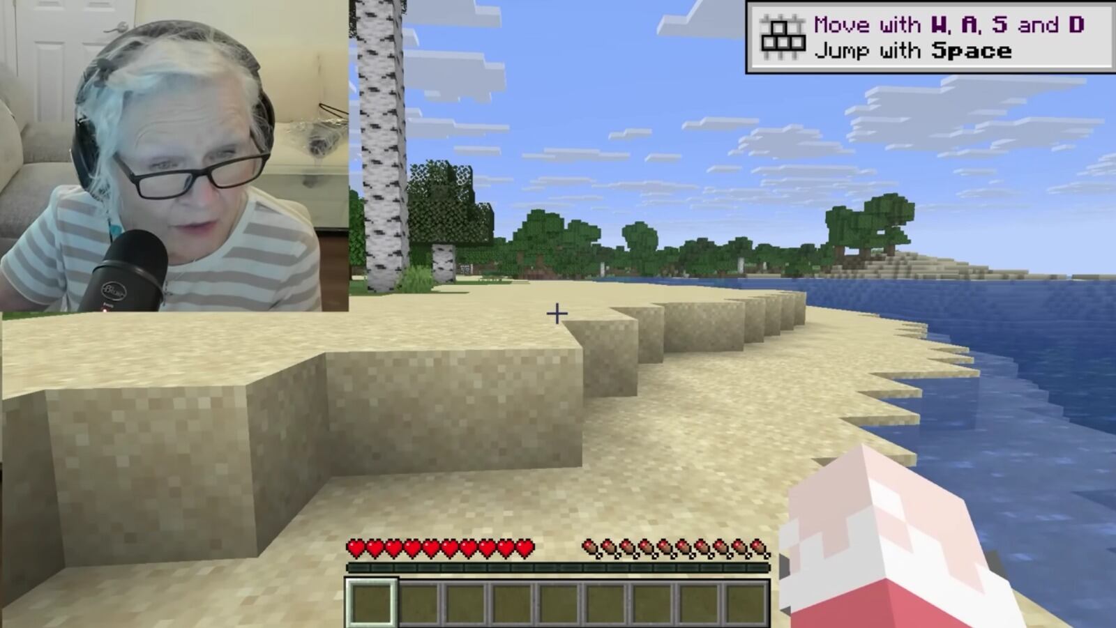Avó de 81 anos cria canal de Minecraft no Youtube para pagar tratamento ...