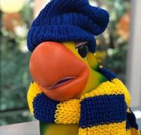 Veja sete curiosidades sobre o personagem Louro José – R7 Entretenimento